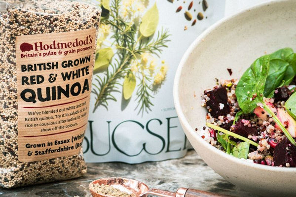 Hodmedod x Sucseed Winter Rainbow Quinoa Salad - Hodmedod's Wholefoods