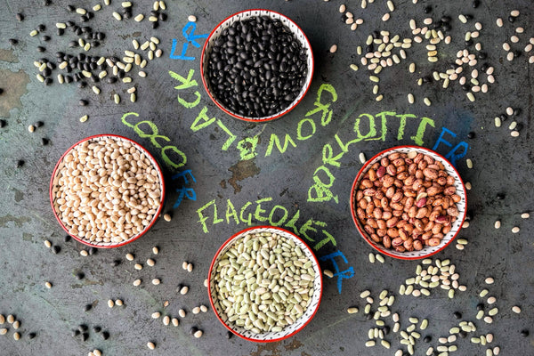 Rare Beans Tagged "Special Offer" - Hodmedod's British Wholefoods