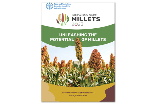 Unleashing the potential of millets - Hodmedod's Wholefoods