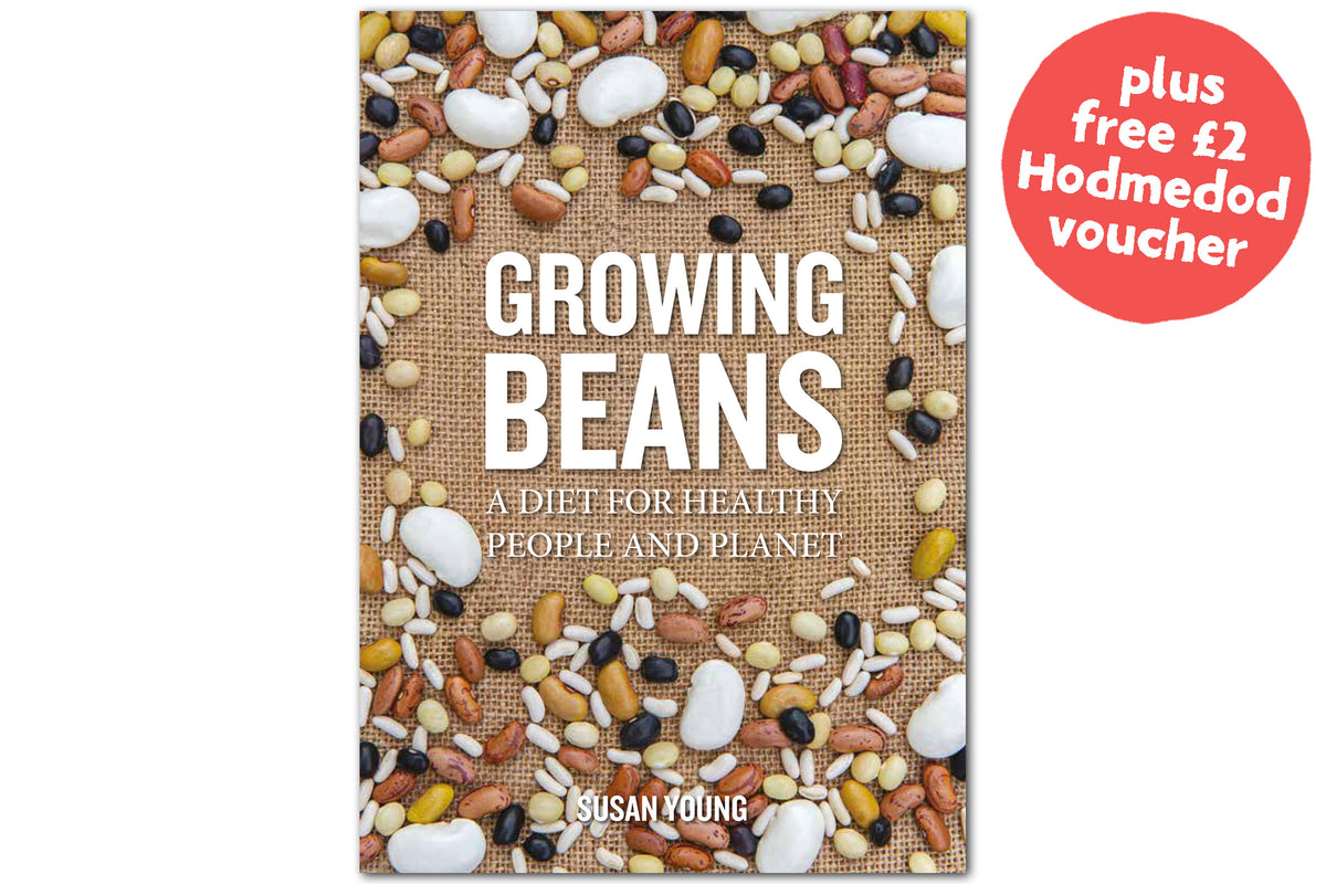 Dried Beans, Split & Whole - Hodmedod's Wholefoods